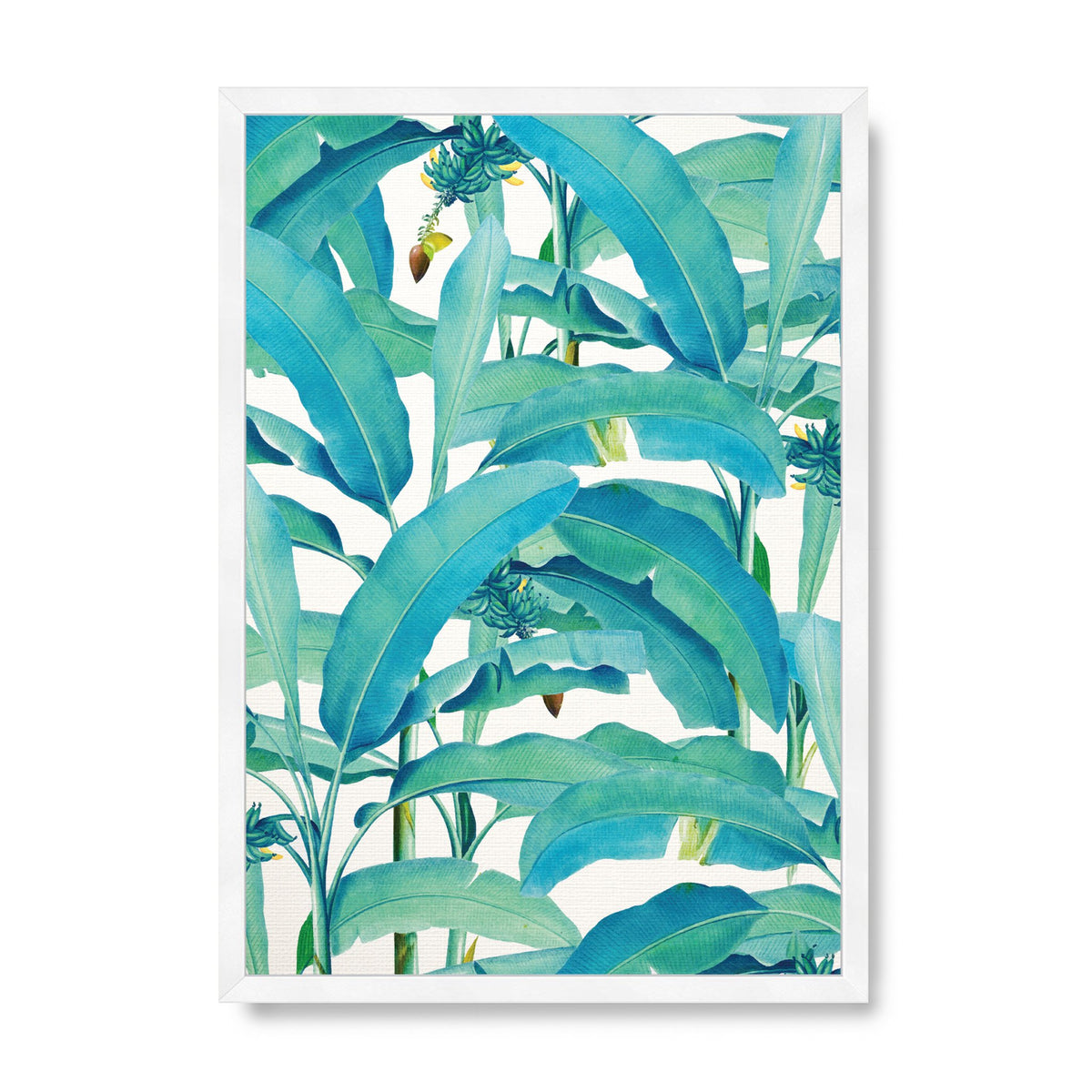 Banana Forest - Kulture Shop