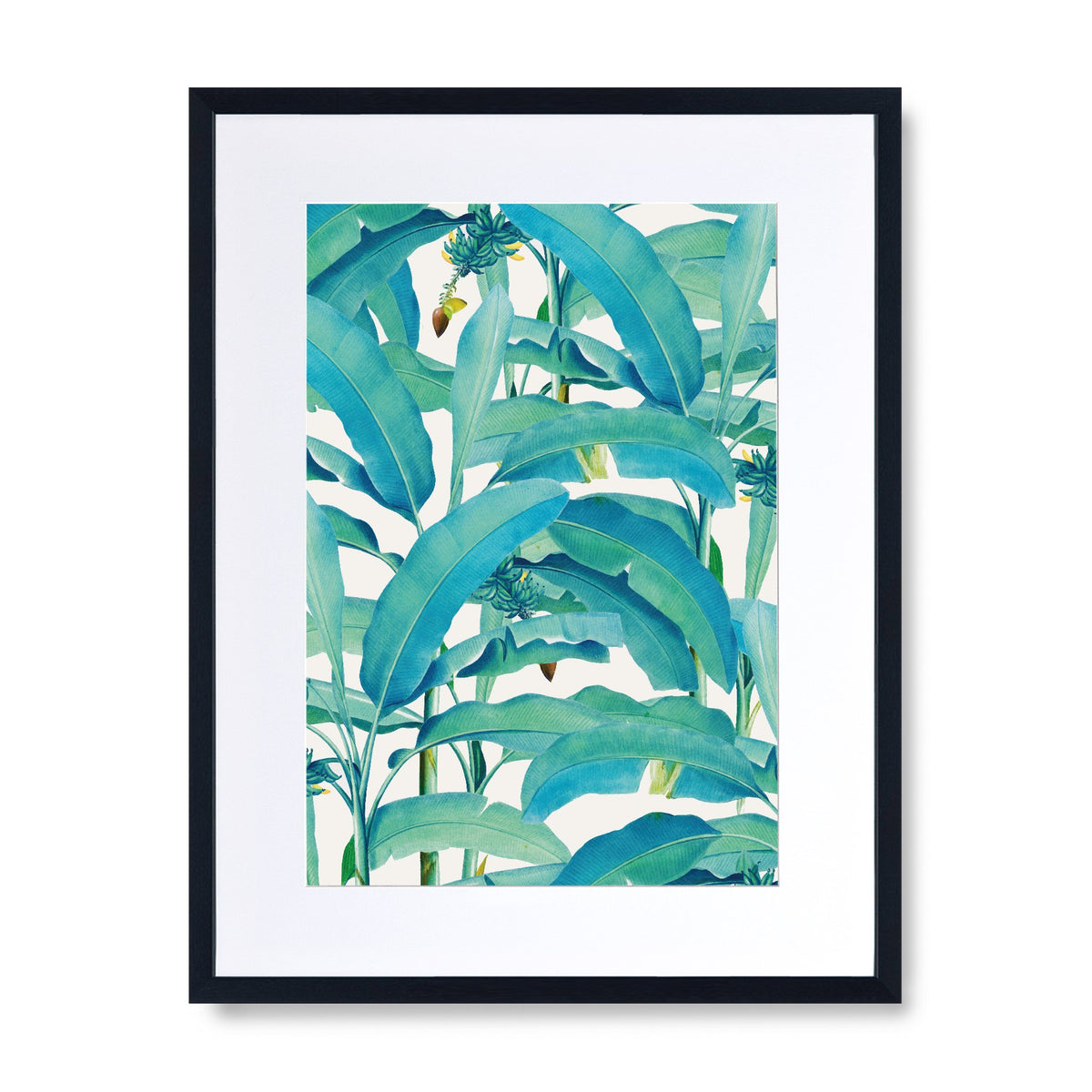 Banana Forest - Kulture Shop