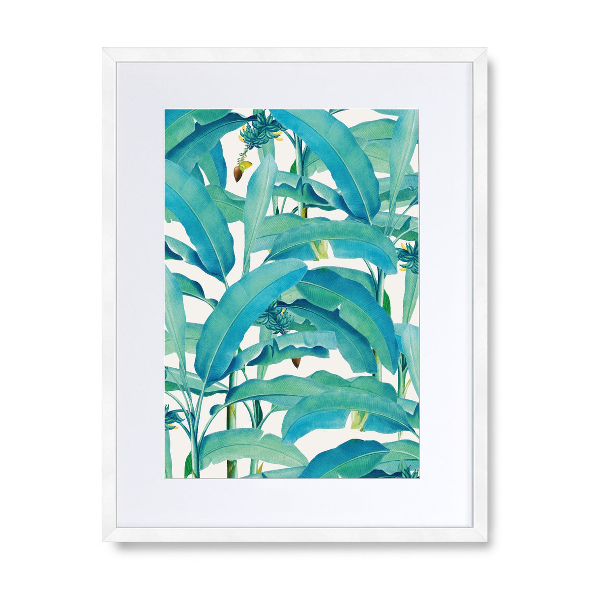 Banana Forest - Kulture Shop